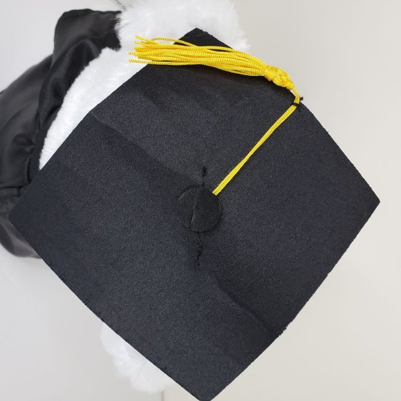 Dan Dee | Toys | Dan Dee White Grad Bear Class Of 220 Cap Gown | Poshmark
